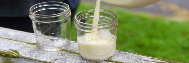 Amish Busted Over Raw Milk – Groovy Green